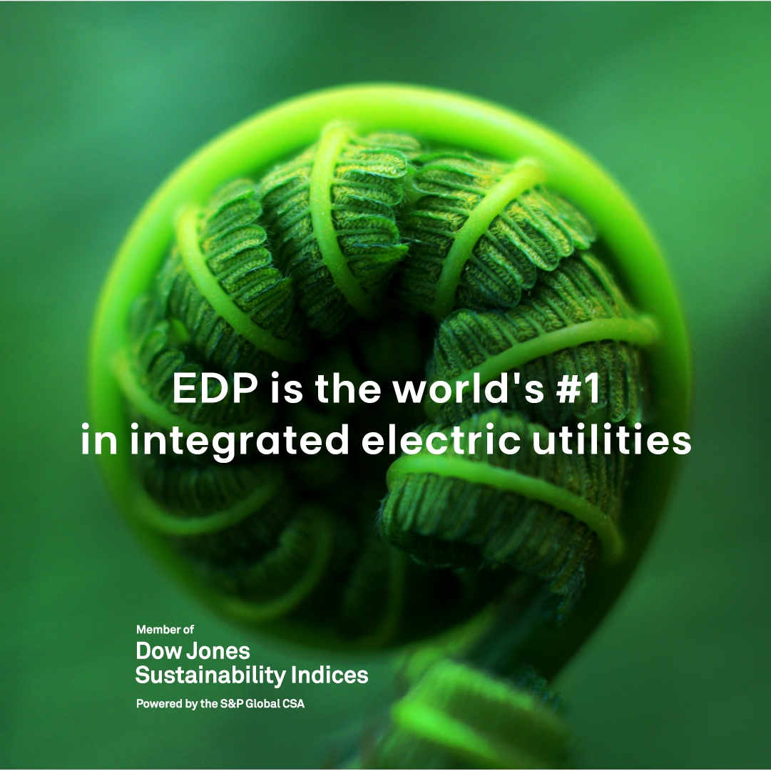 ESG ratings | edp