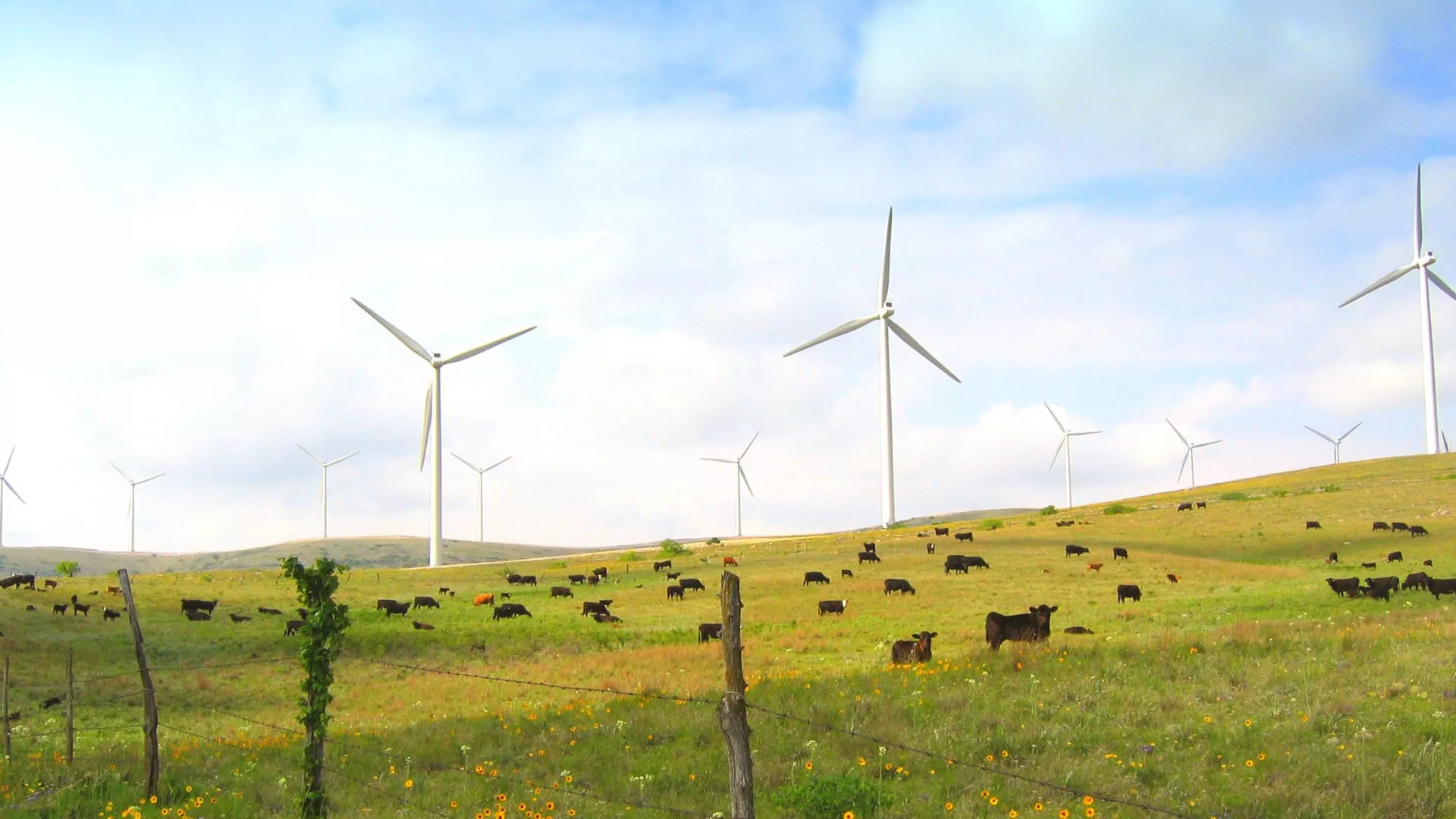 20-Year Milestone for OK Wind Farm | edp