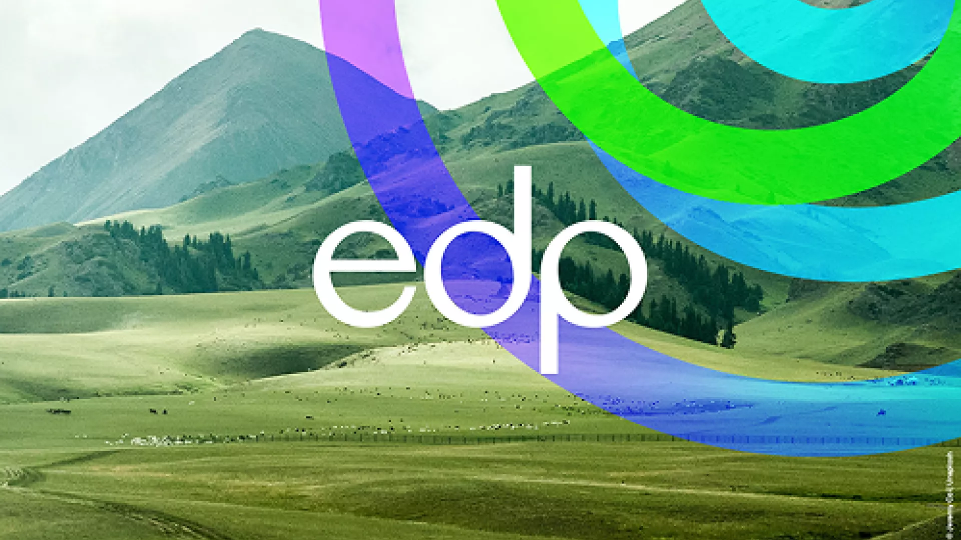 Media | edp