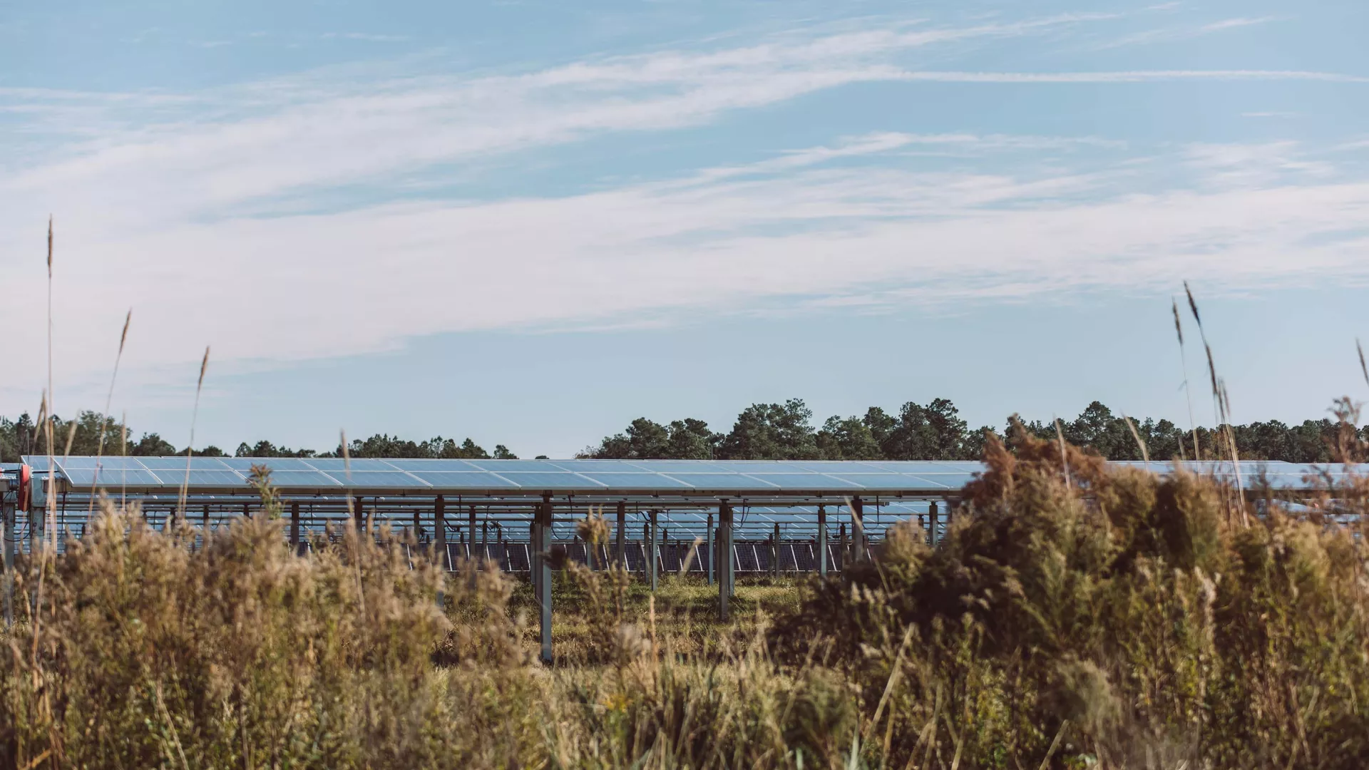 Black Prairie Solar | edp