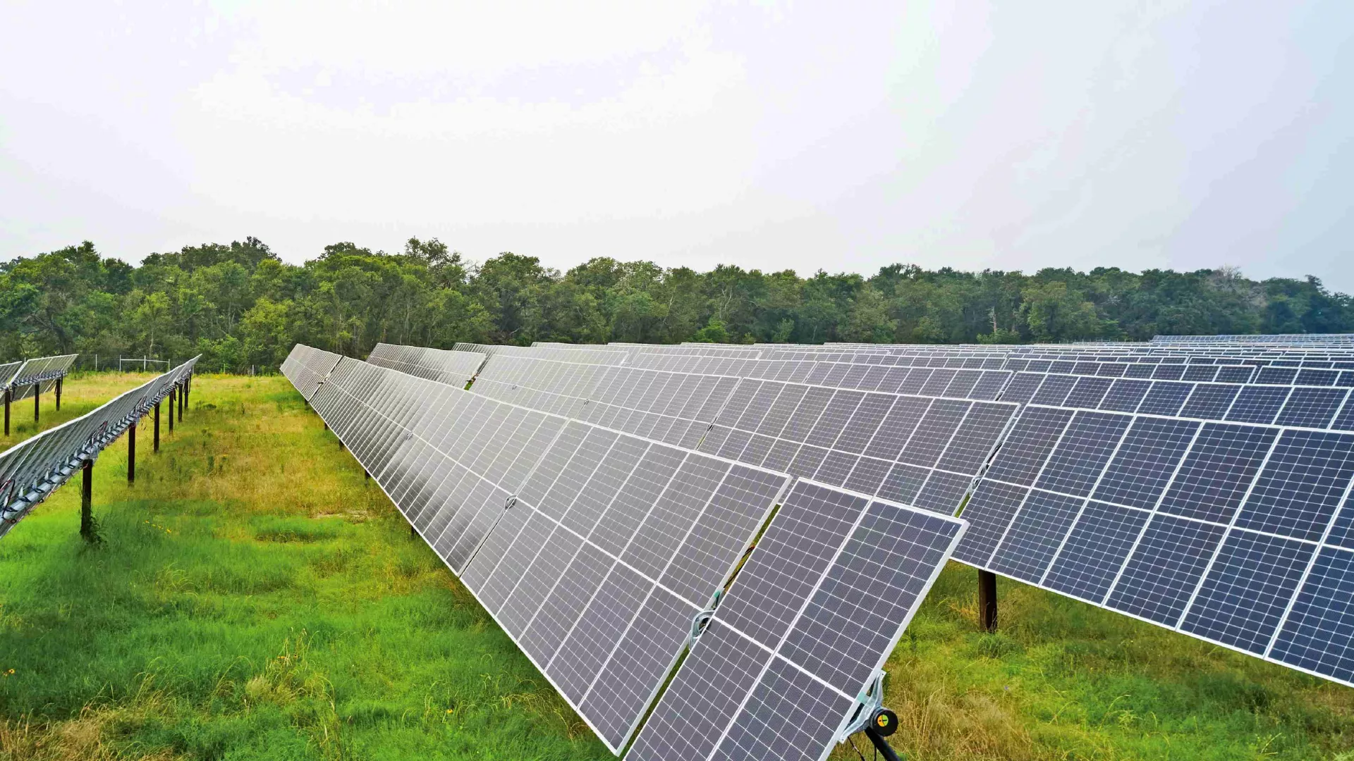 EDP delivers three additional solar energy projects for Microsoft in ...