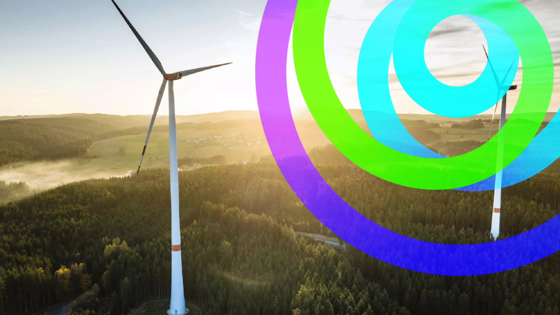New EDP brand identity inspired by nature and sustainability | edp