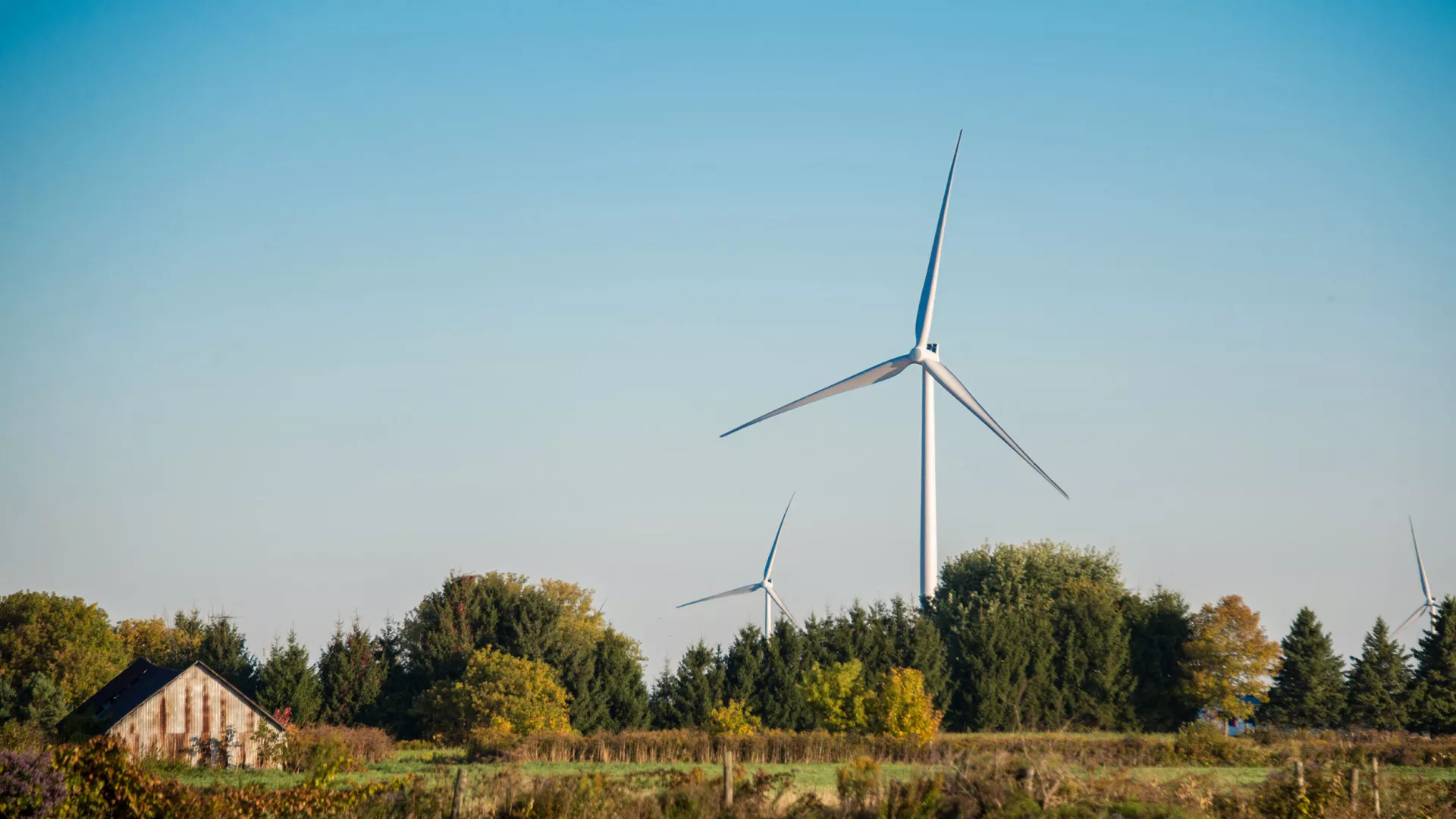 South Branch Wind Farm | edp