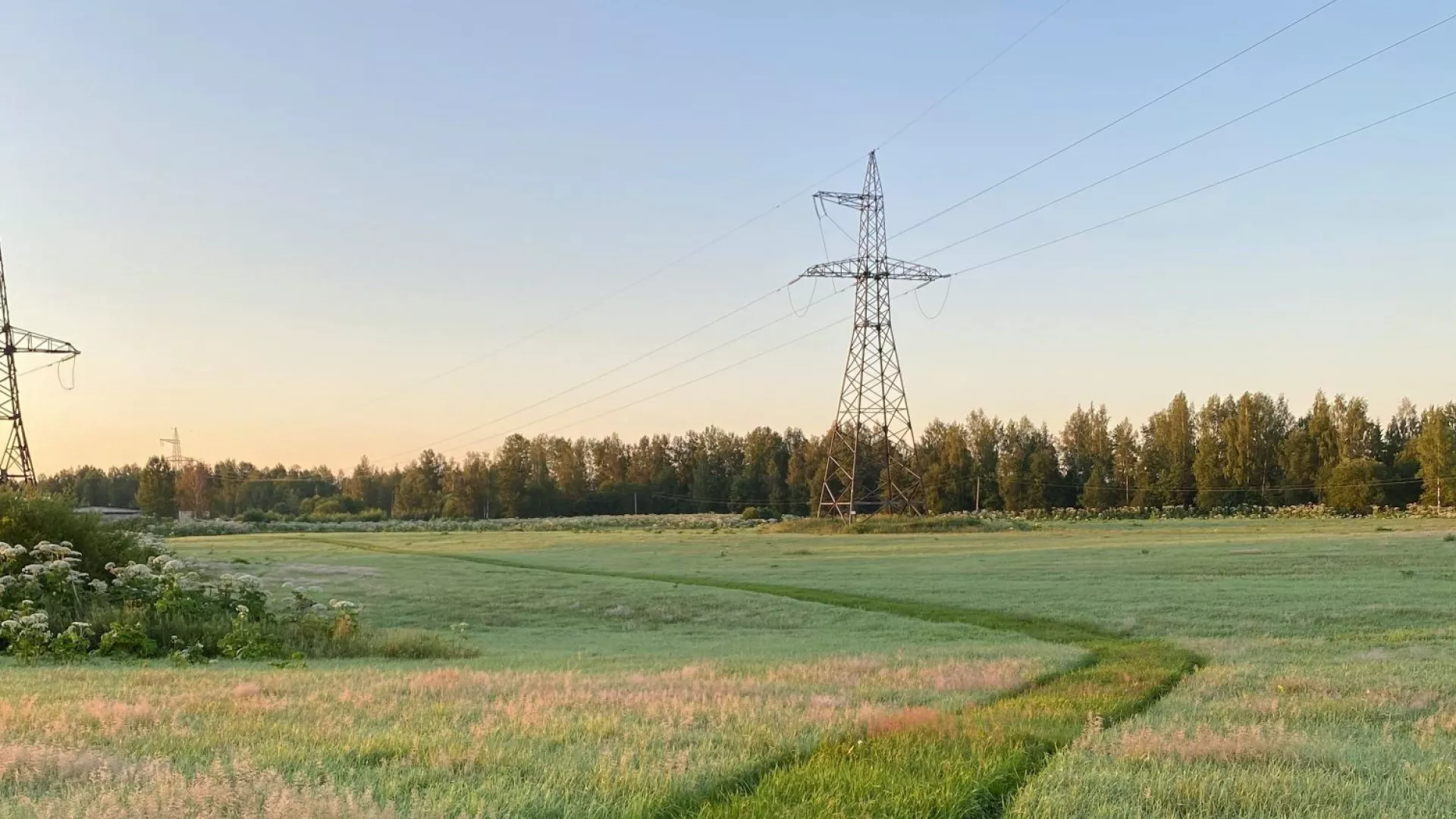 The digital transformation of the electricity grid | edp