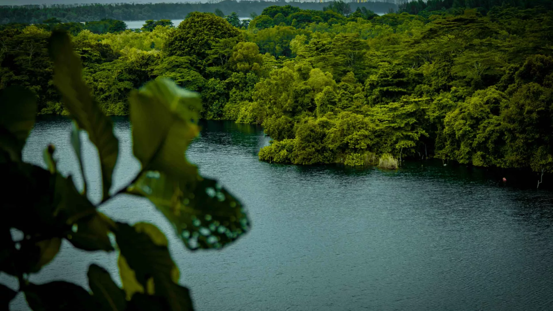 Pulau Ubin green microgrid | edp