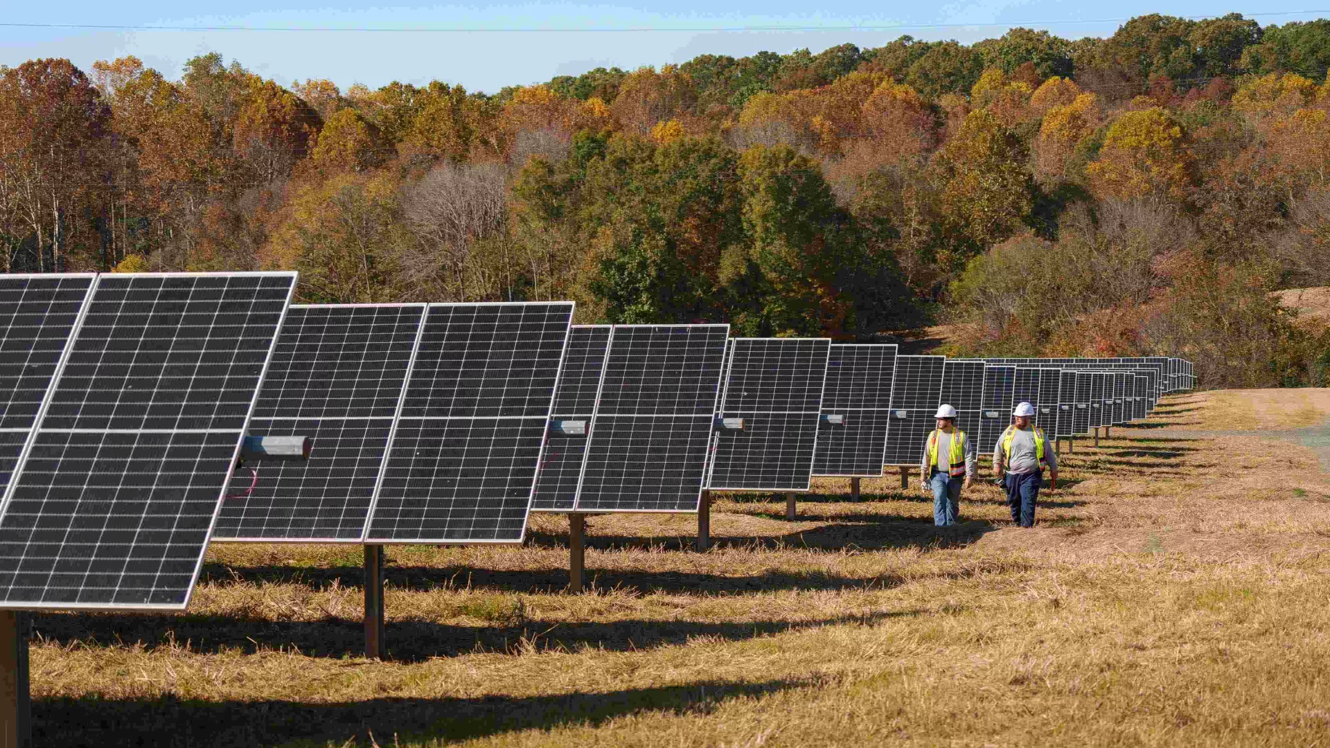 EDP Renewables North America Launches Ragsdale Solar Park in ...