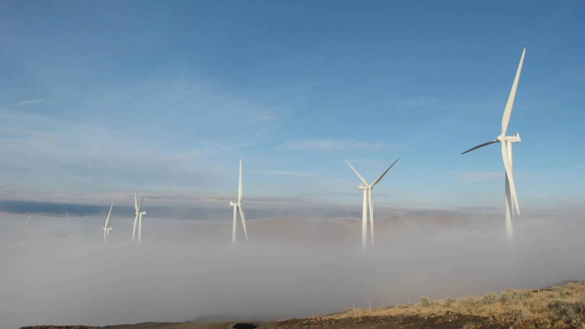 Eólica de Coahuila Wind Farm | edp
